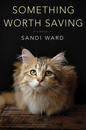 Something Worth Saving by Sandi Ward: 9781496711137 ...
