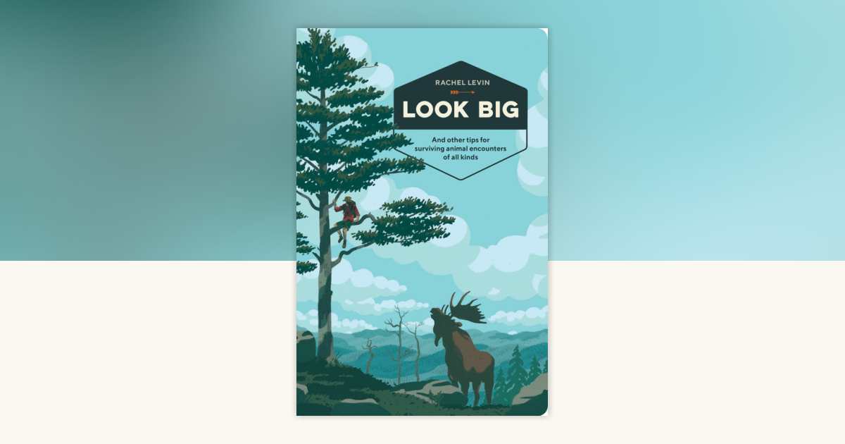 Look Big by Rachel Levin: 9780399580376 | PenguinRandomHouse.com: Books