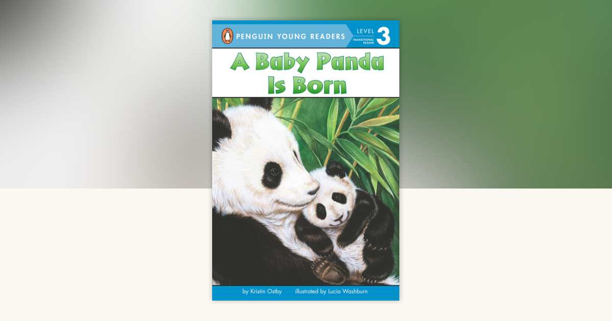 A Baby Panda Is Born by Kristin Ostby: 9780448447209 ...
