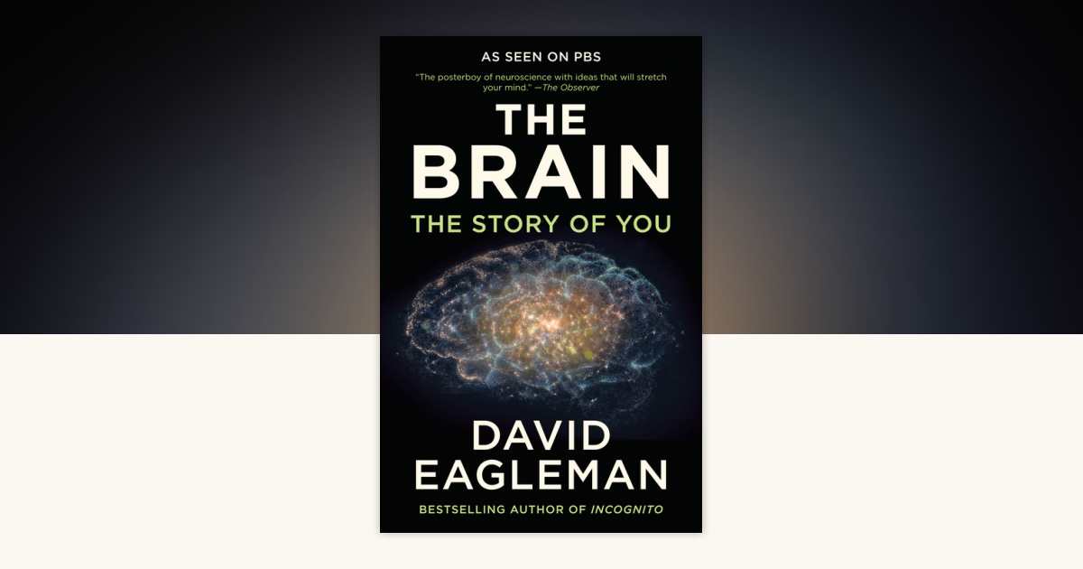 The Brain by David Eagleman: 9780525433446 | PenguinRandomHouse.com: Books