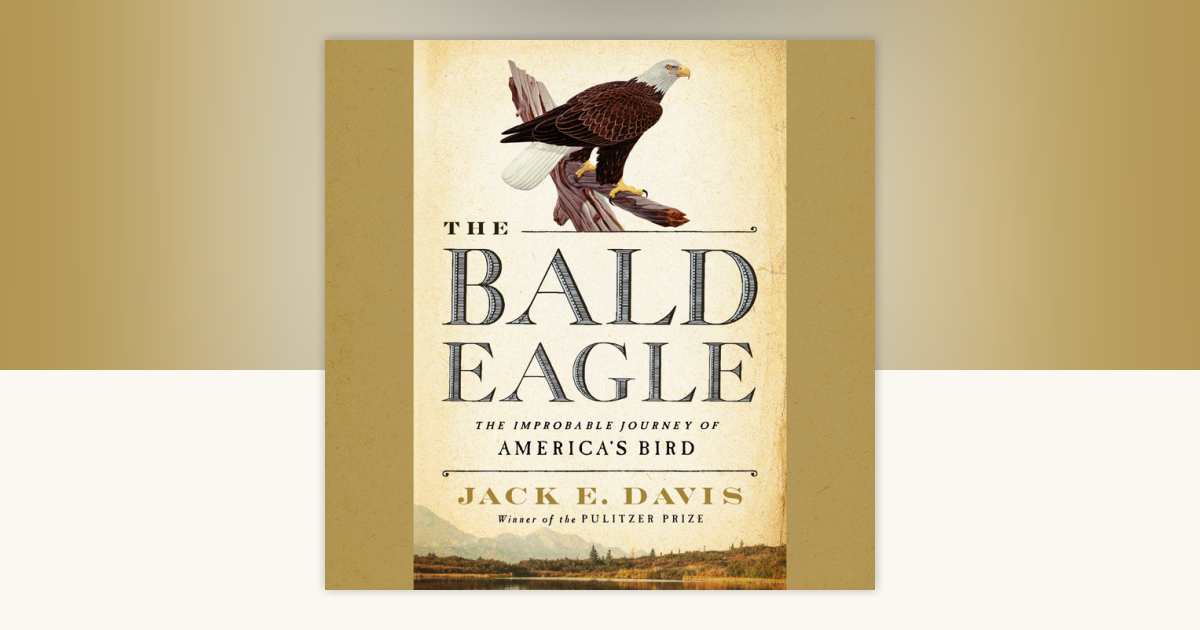 The Bald Eagle by Jack E. Davis: 9780593615119 | PenguinRandomHouse.com ...