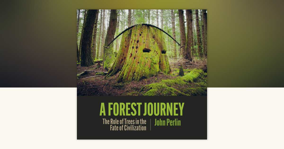 A Forest Journey by John Perlin: 9780593748237 | PenguinRandomHouse.com ...