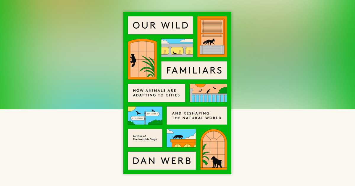 Our Wild Familiars by Dan Werb: 9780593799635 | PenguinRandomHouse.com ...