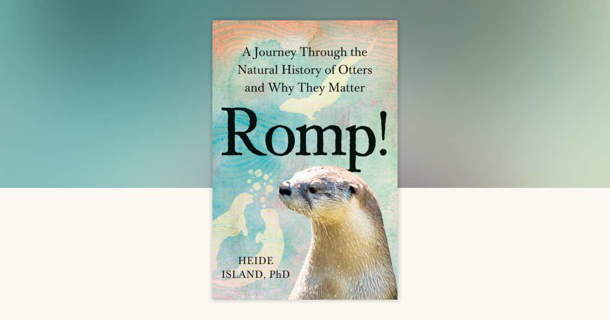 Romp! by Heide Island, PhD: 9780593855034 | PenguinRandomHouse.com: Books