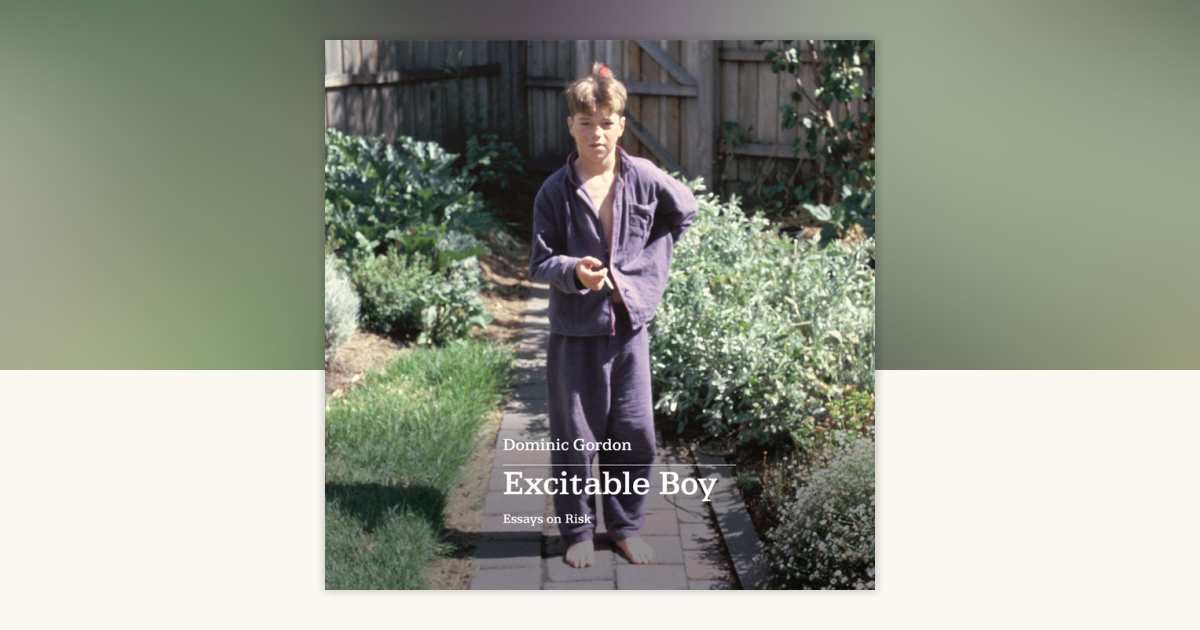 Excitable Boy by Dominic Gordon: 9780593947333 | PenguinRandomHouse.com ...