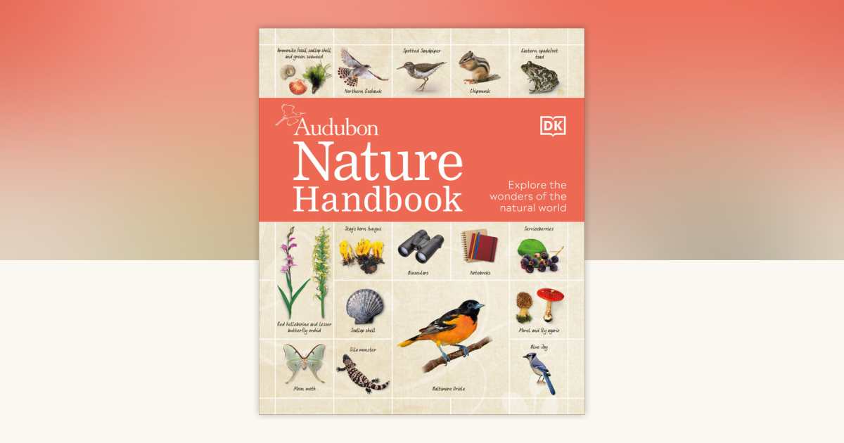 Nature Handbook by DK: 9780744052114 | PenguinRandomHouse.com: Books