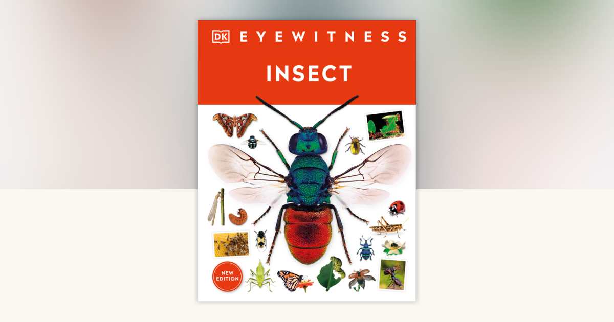 Eyewitness Insect by DK: 9780744081572 | PenguinRandomHouse.com: Books