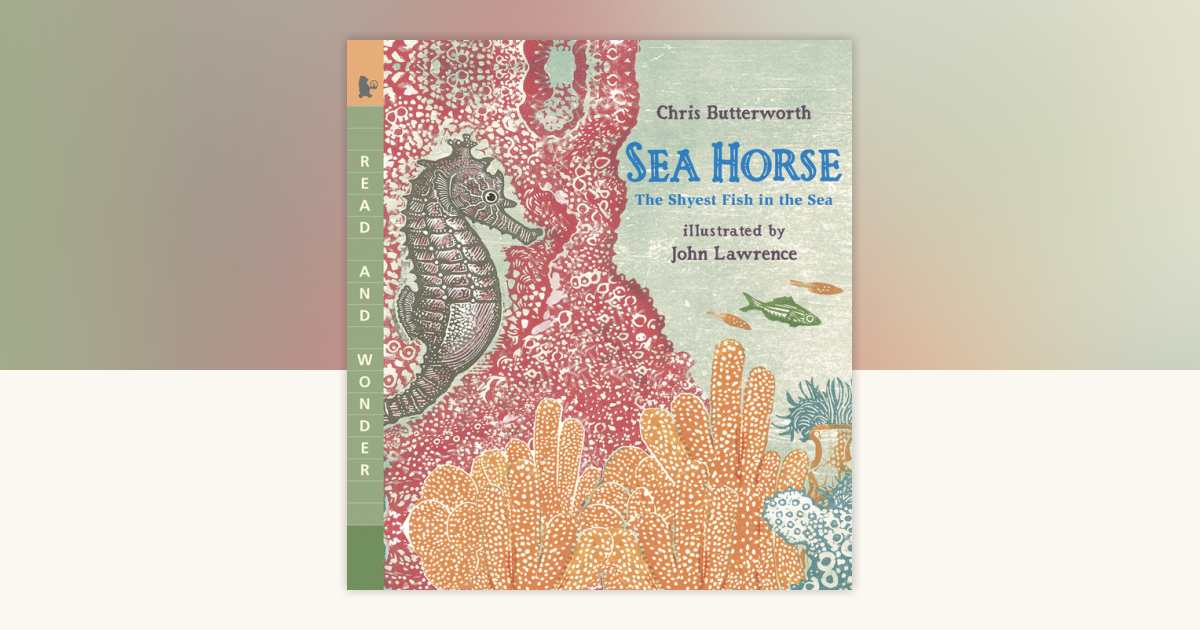 Sea Horse: The Shyest Fish in the Sea by Chris Butterworth ...