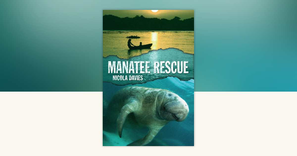 Manatee Rescue by Nicola Davies: 9780763678302 | PenguinRandomHouse.com ...