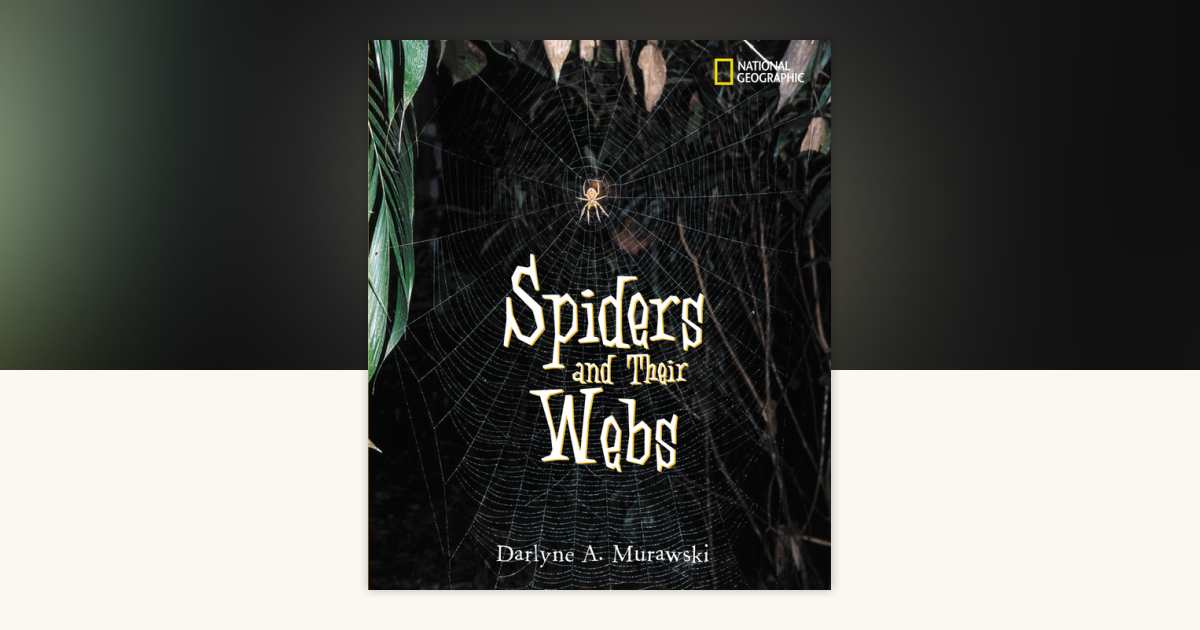 Spiders and Their Webs by Darlyne A. Murawski: 9780792269793 ...