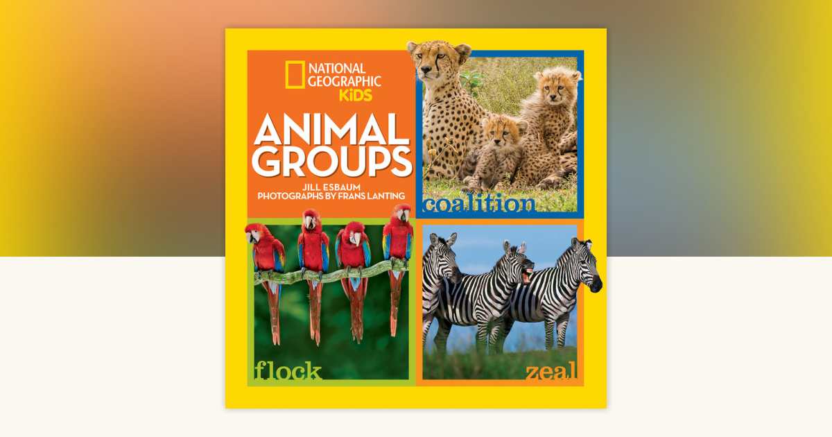 Animal Groups by Jill Esbaum: 9781426320606 | PenguinRandomHouse.com: Books