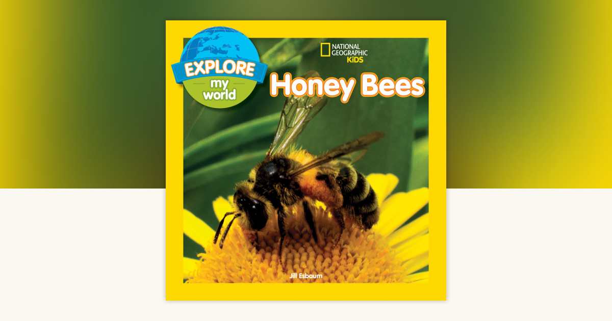 Explore My World: Honey Bees by Jill Esbaum: 9781426327131 ...