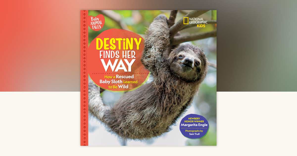 Destiny Finds Her Way by Margarita Engle: 9781426372346 ...