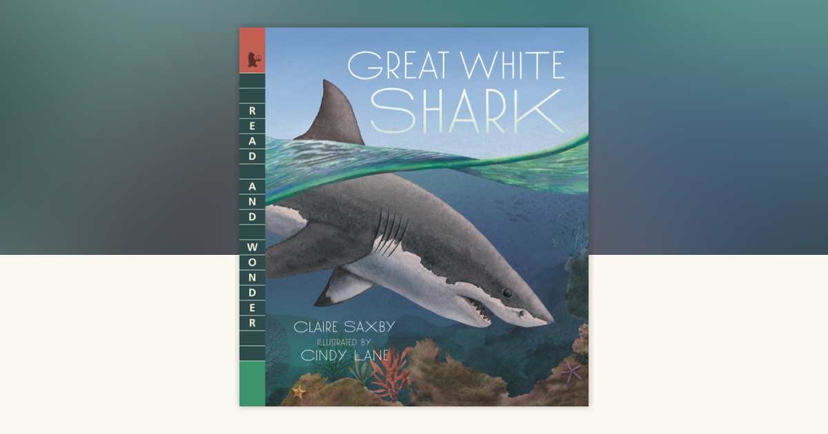 Great White Shark by Claire Saxby: 9781536240887 | PenguinRandomHouse ...