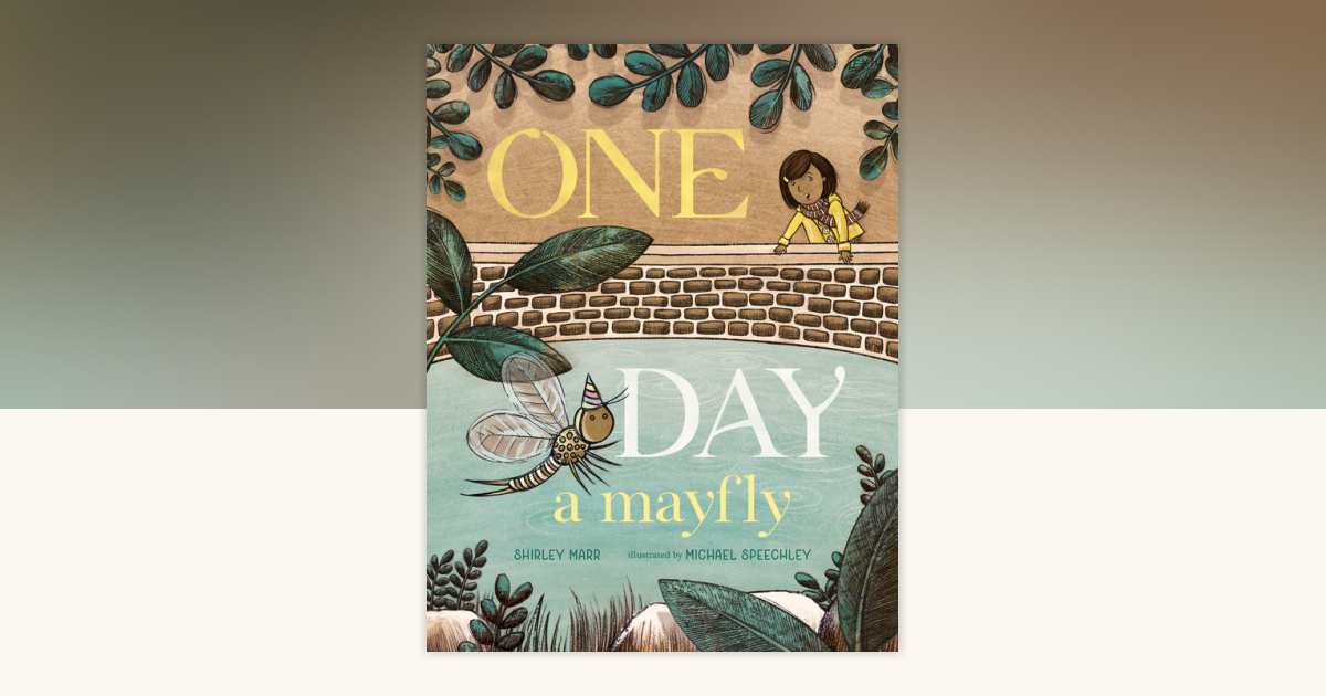 One Day a Mayfly by Shirley Marr: 9781536243611 | PenguinRandomHouse ...