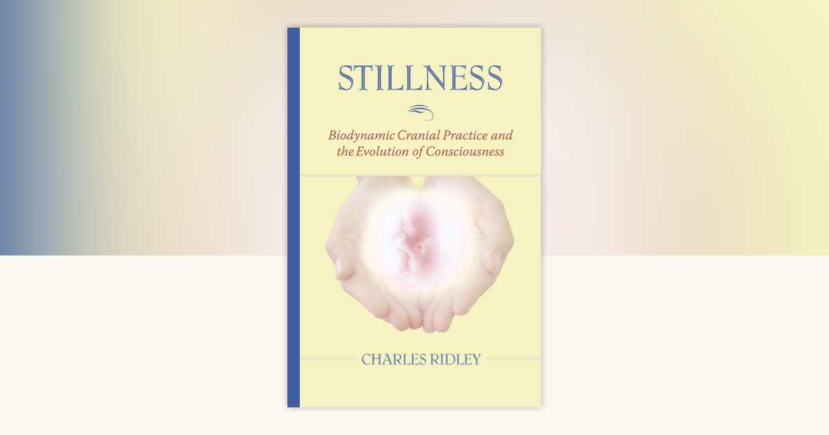 Stillness by Charles Ridley: 9781556435928 | PenguinRandomHouse.com: Books