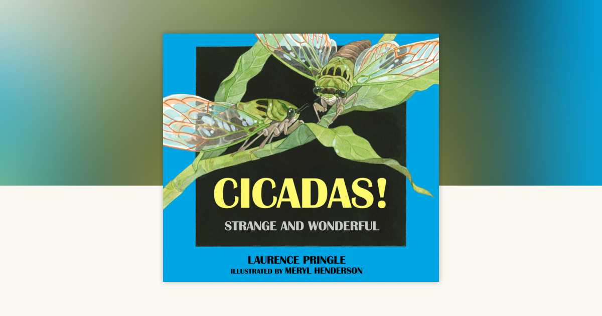 Cicadas! by Laurence Pringle: 9781590786734 | PenguinRandomHouse.com: Books