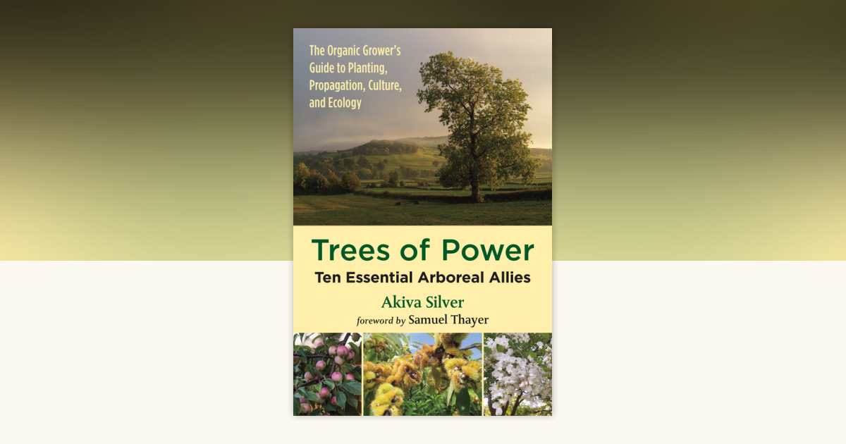 Trees of Power by Akiva Silver: 9781603588416 | PenguinRandomHouse.com ...