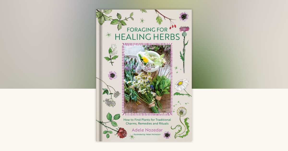 Foraging for Healing Herbs by Adele Nozedar: 9781836810216 ...