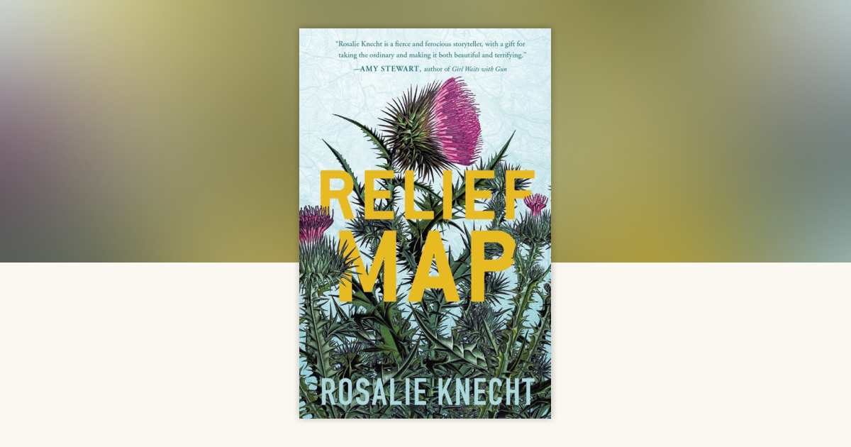 Relief Map by Rosalie Knecht: 9781941040225 | PenguinRandomHouse.com: Books