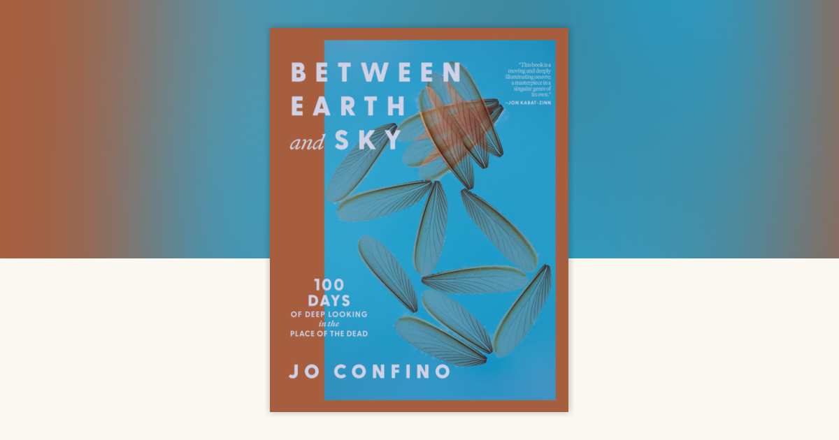 Between Earth and Sky by Jo Confino: 9781967175024 | PenguinRandomHouse ...
