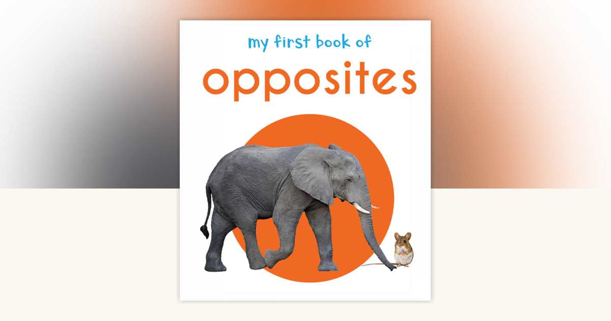 My First Book of Opposites: First Board Book by Wonder House Books ...