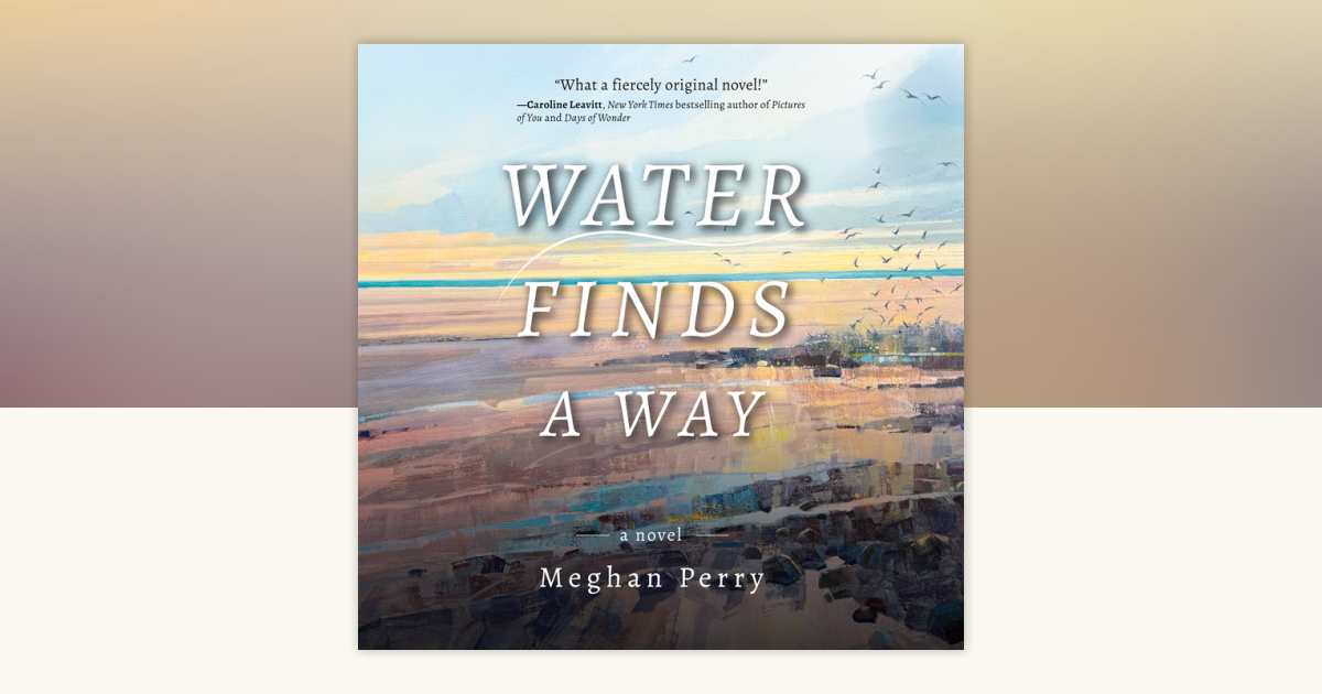 Water Finds a Way by Meghan Perry: 9798217067893 | PenguinRandomHouse ...