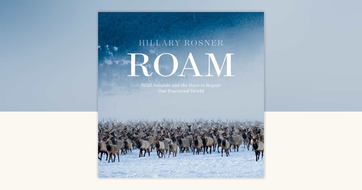 Roam by Hillary Rosner: 9798217295739 | PenguinRandomHouse.com: Books
